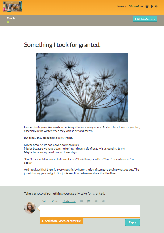 I have something really fun for you! | Andrea Scher